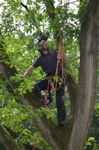 Aerial Courses - VMT