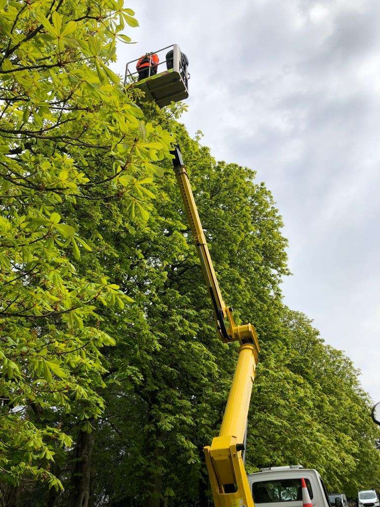 Mobile Elevating Work Platforms (MEWPs) - VMT